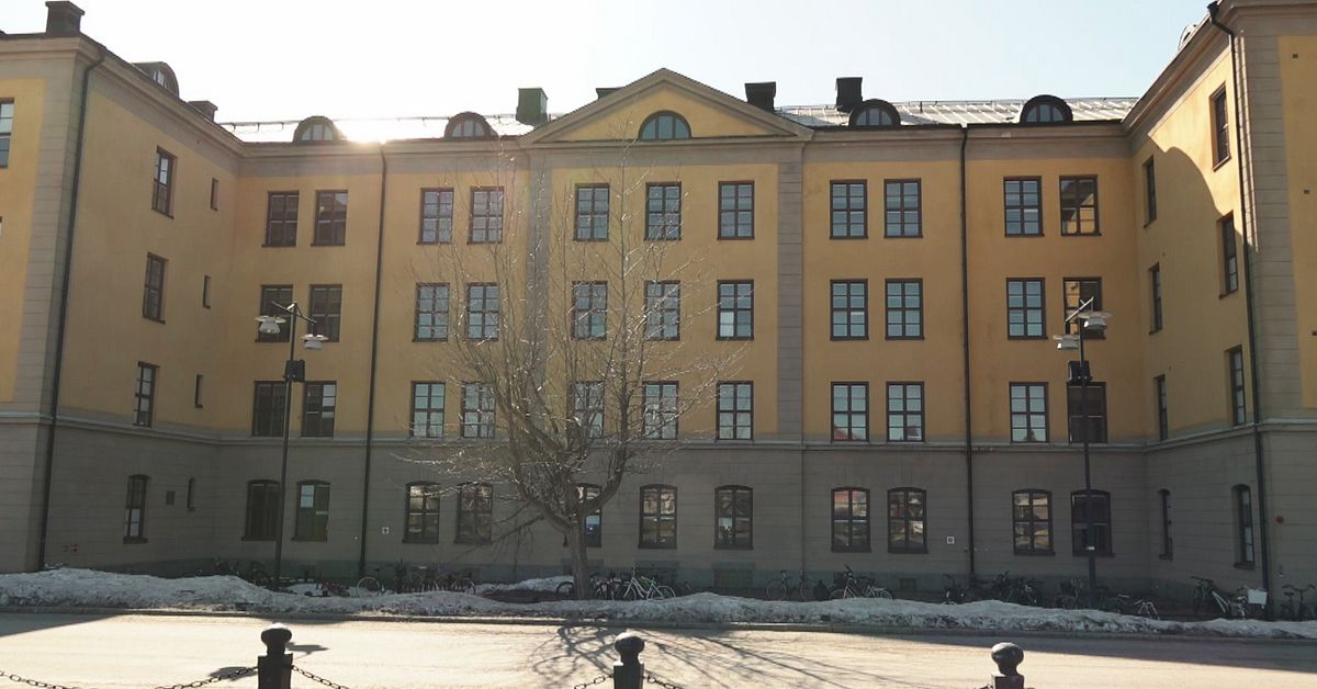 F Ngelse F R Knivman P Skola I Ume Svt Nyheter