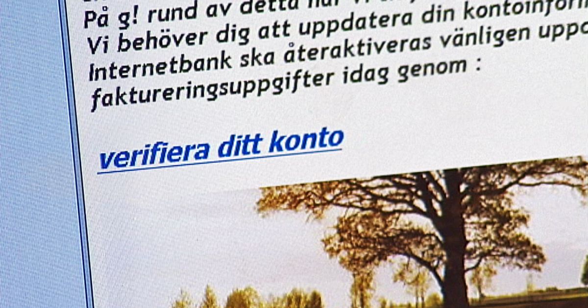 Bluffmail Allt Vanligare SVT Nyheter