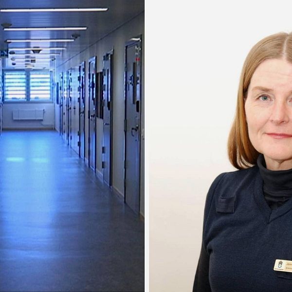 Chefen på Saltviksanstalten Ser mycket allvarligt på det här SVT
