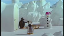 Pingu | SVT Play