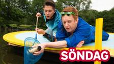 Sommarlov | SVT Play