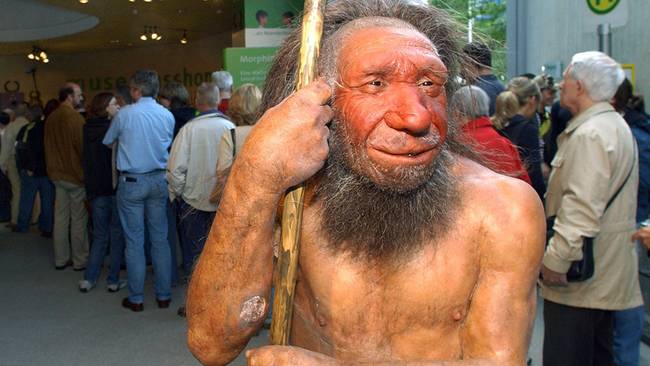 Vi är 20 procent neandertalare | SVT Nyheter