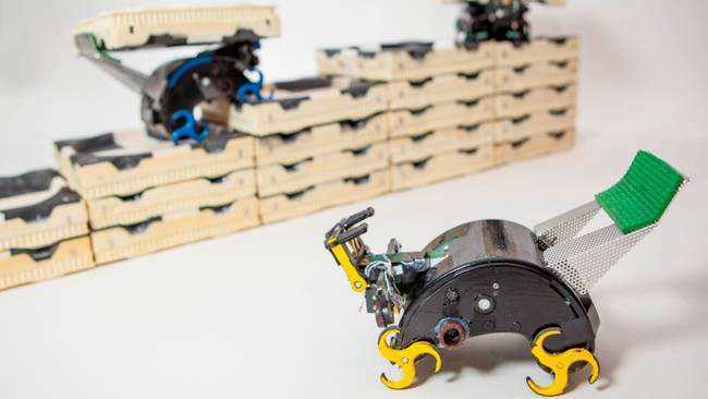 Krypande robotar kan bygga hus | SVT Nyheter