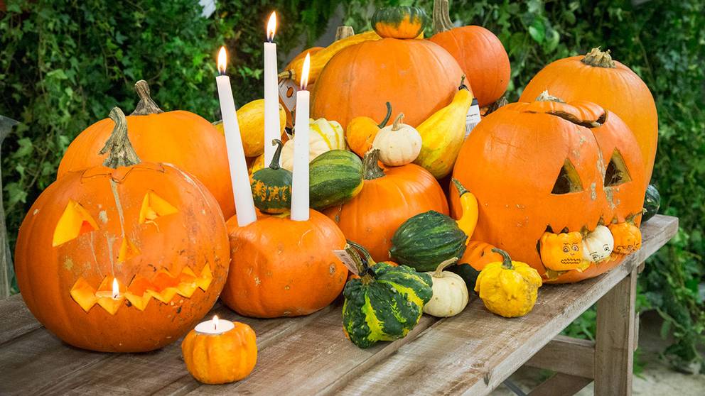 Pumpor, pumpor, överallt pumpor | SVT Nyheter