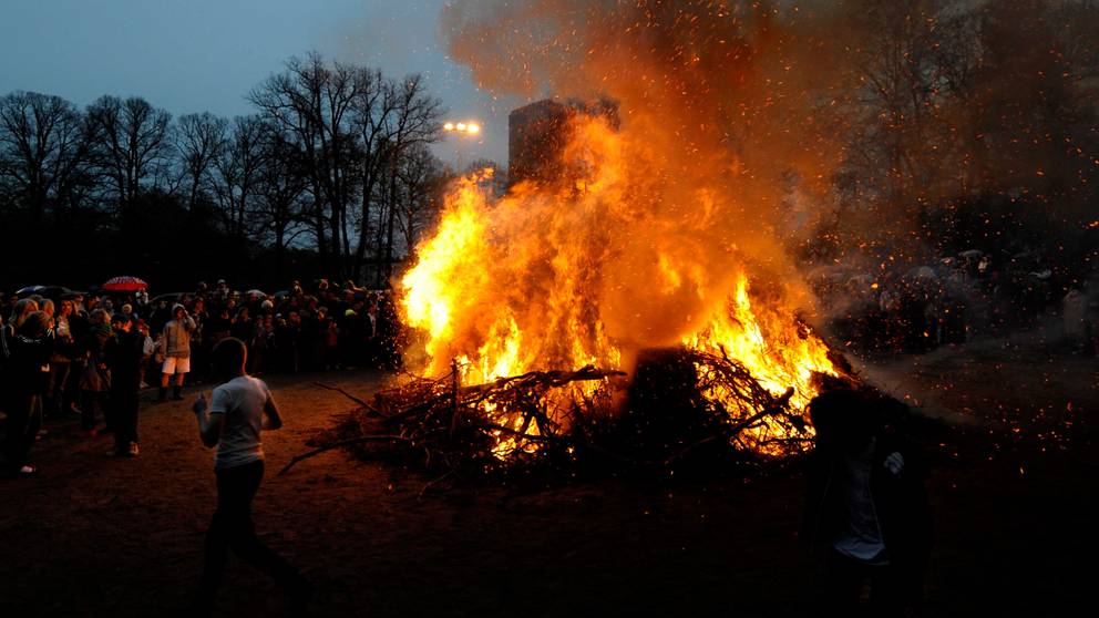 Här hittar du din majbrasa | SVT Nyheter