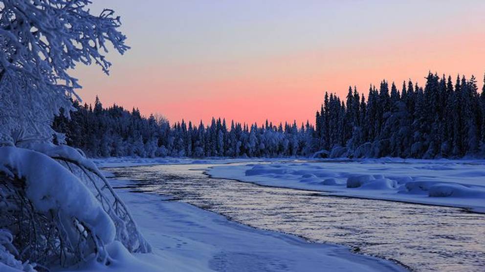 Tagit fina vinterbilder? | SVT Nyheter