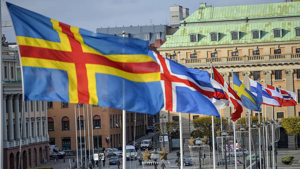 ”Låt oss bilda en nordisk federation” | SVT Nyheter