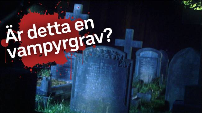Så här ser vampyrspåren ut i verkligheten | SVT Nyheter
