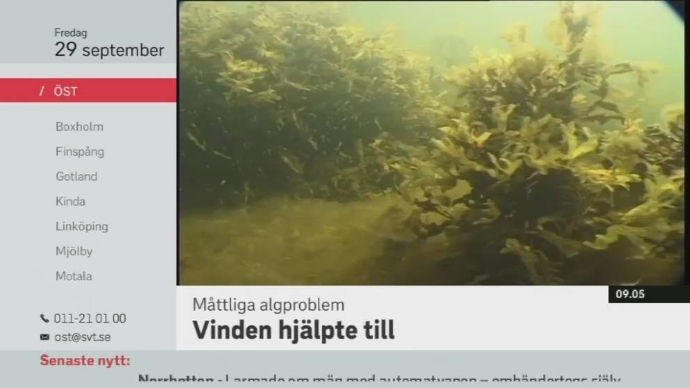 Planerna på Sveriges största solcellspark skrotas | SVT Nyheter