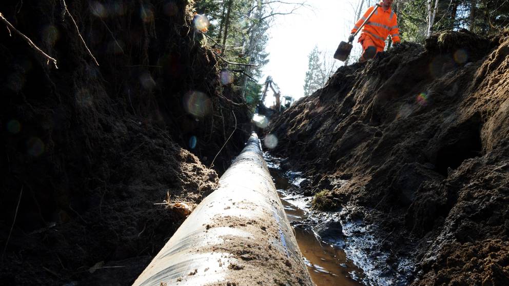 ”Jakten på enskilda avlopp är en felsatsning” | SVT Nyheter