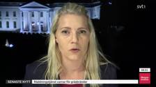 Rapport | SVT Play