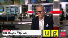 Rapport | SVT Play
