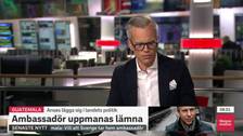 Rapport | SVT Play