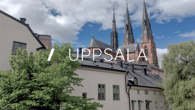 Lokala Nyheter Uppsala | SVT Play