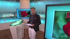Landet runt | SVT Play