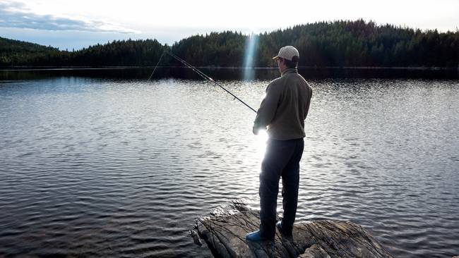 Hitta fisken med hjälp av Fiskekartan | SVT Nyheter