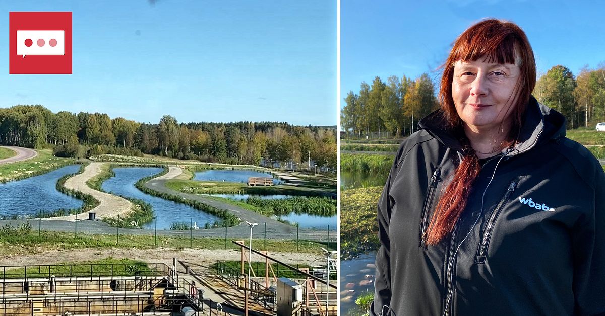 Gräs och våtängar ska rena Smedjebackens avloppsvatten | SVT Nyheter