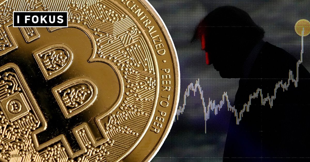 Kryptovalutan bitcoin når över 100 000 dollar | SVT Nyheter