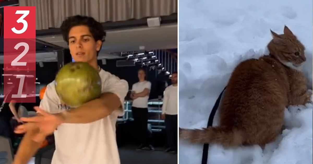 Här är årets mest virala klipp på Tiktok | SVT Nyheter