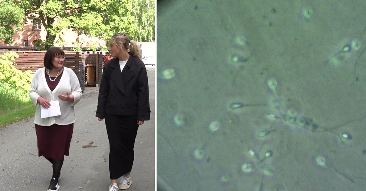 Kraftig ökning av IVF-behandlingar: ”Barnlängtan kan vara väldigt stark ...