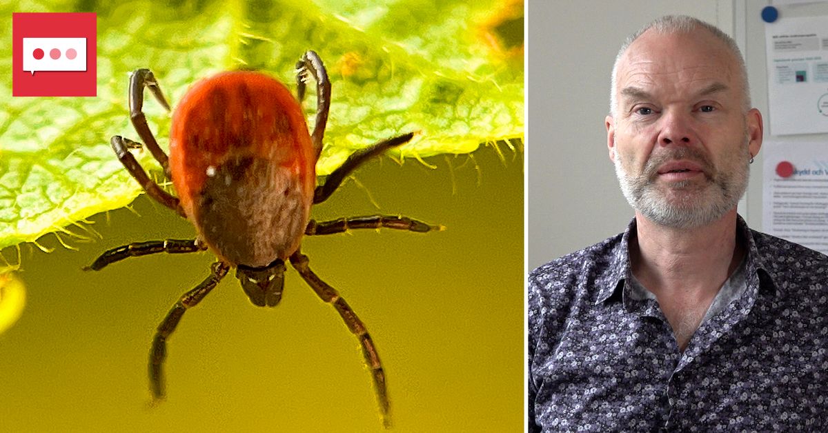 Rekordmånga fästingar redan – risk för fler TBE-fall i år | SVT Nyheter