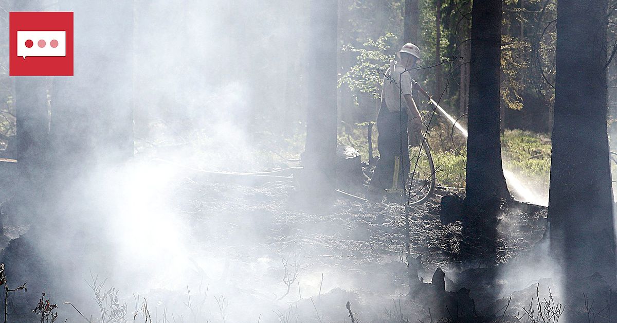 Naturvårdsbrand i Uppvidinge kommun spred sig – stor insats på plats ...