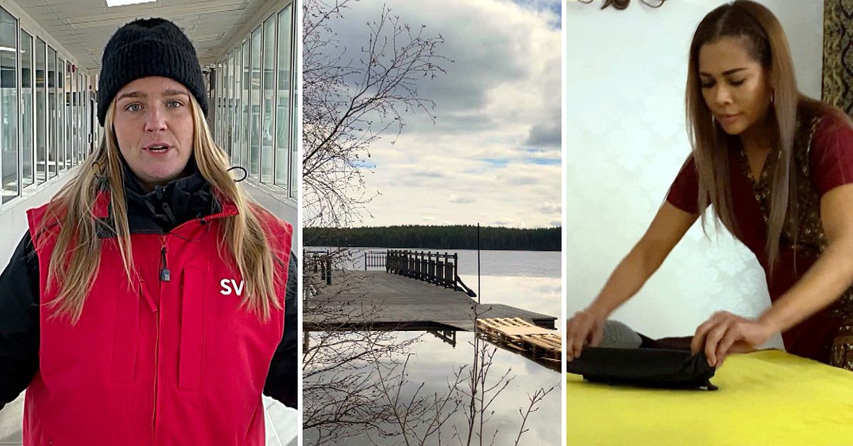 Här är veckans dalanyheter | SVT Nyheter