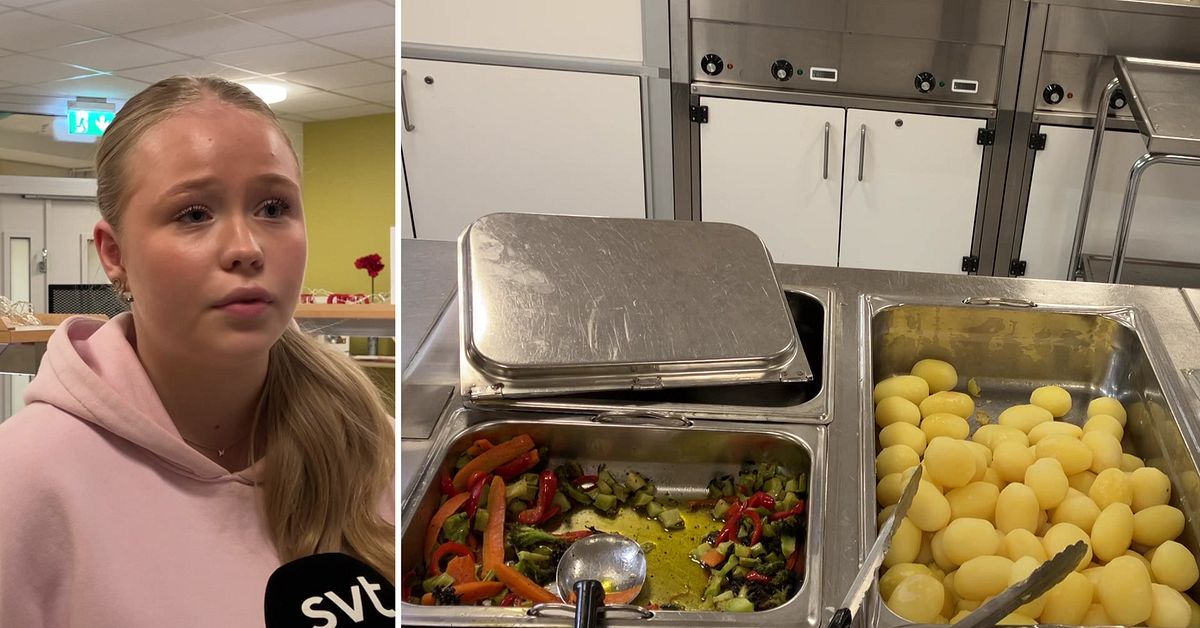 Rester från skolmaten ska delas ut som matlådor till elever i Laholm ...