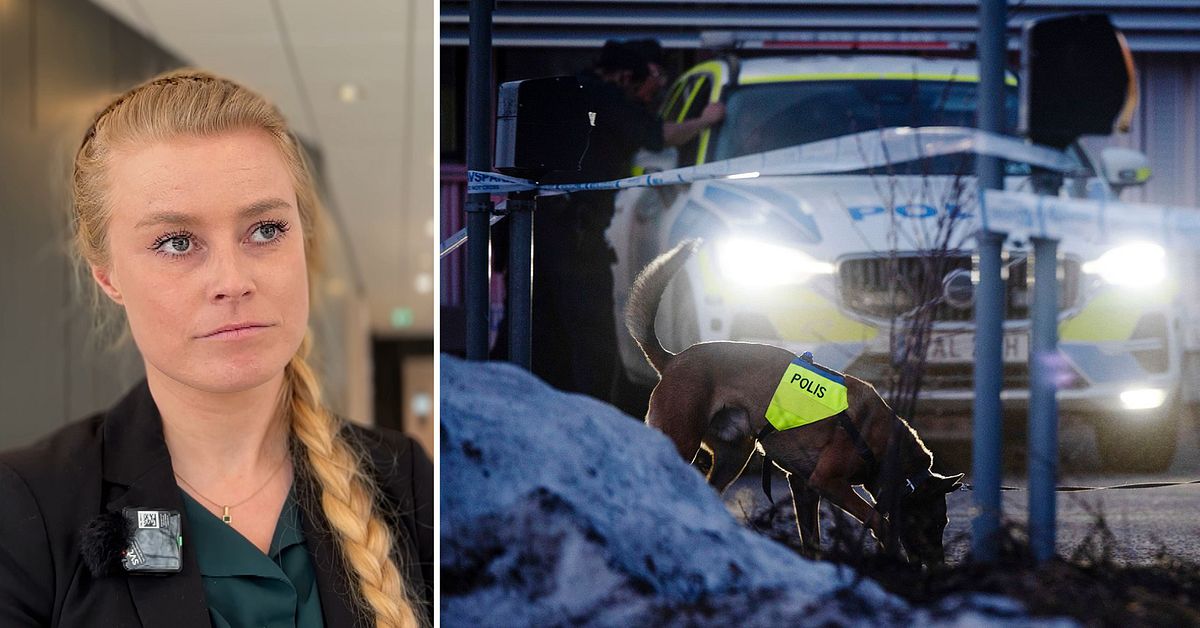 Skjutningen i centrala Umeå – nu prövas fallet i hovrätten | SVT Nyheter