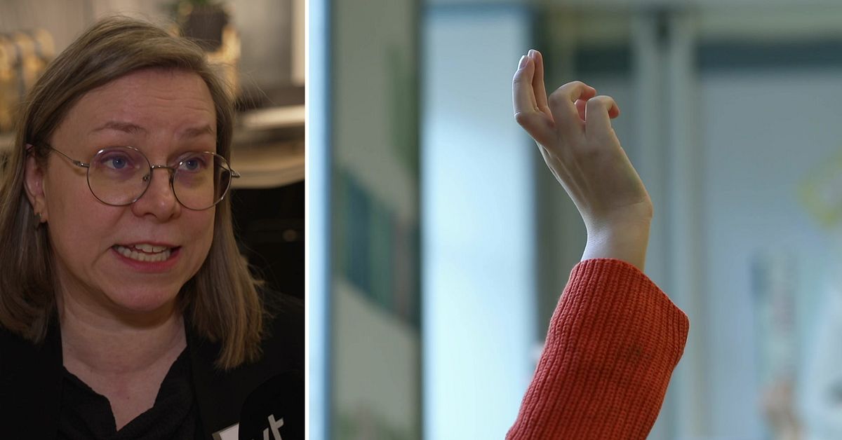 Asiantuntija: Tulevaisuuden koulujen tulee tarjota muutakin kuin ...