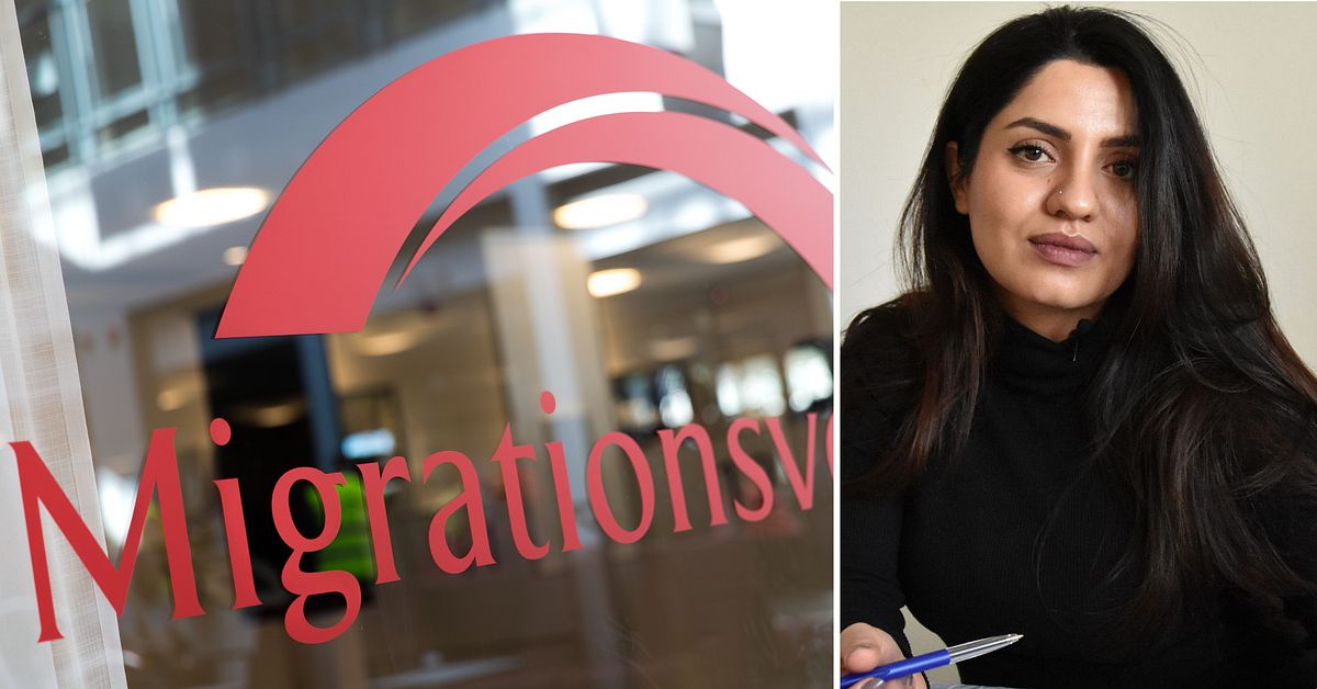 Migrationsverket: ”Zilans ansökan kommer nu att prövas” | SVT Nyheter