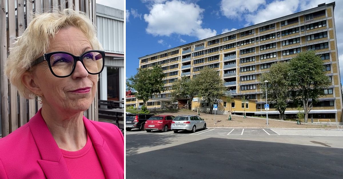Sollefteå sjukhus kan få nya vårdplatser i sommar – ska lösa personalkrisen i Sundsvall | SVT ...
