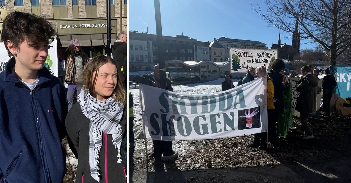 Greta Thunberg demonstrerade vid SCA:s årsstämma i Sundsvall | SVT Nyheter