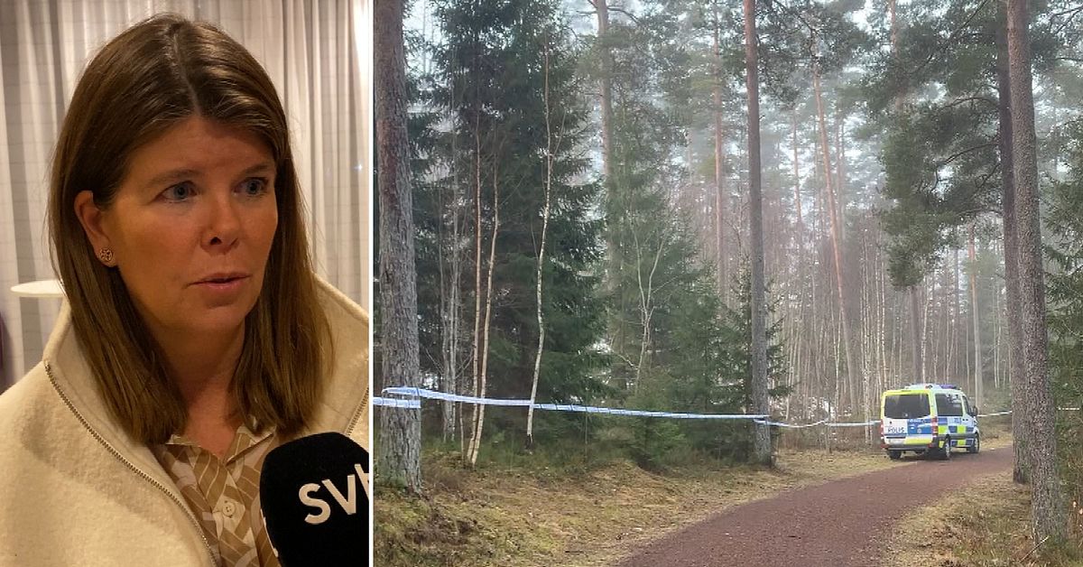 Mordrättegången Vill Se Livstids Fängelse För 22 åring Svt Nyheter