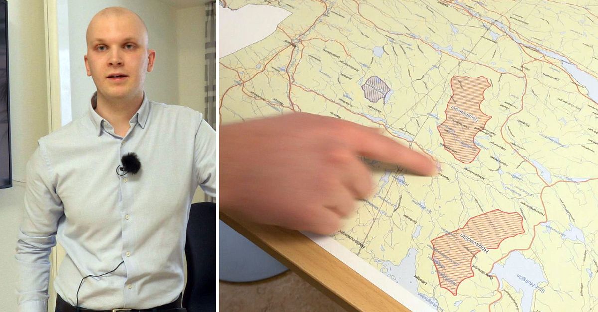 Sundsvalls kommuns svar på kritiken för solcellsparken utanför Njurunda | SVT Nyheter