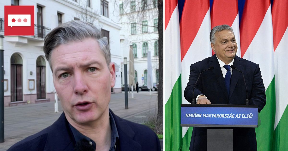 Analys: Christoffer Wendick: ”Inte mycket som talar emot” | SVT Nyheter