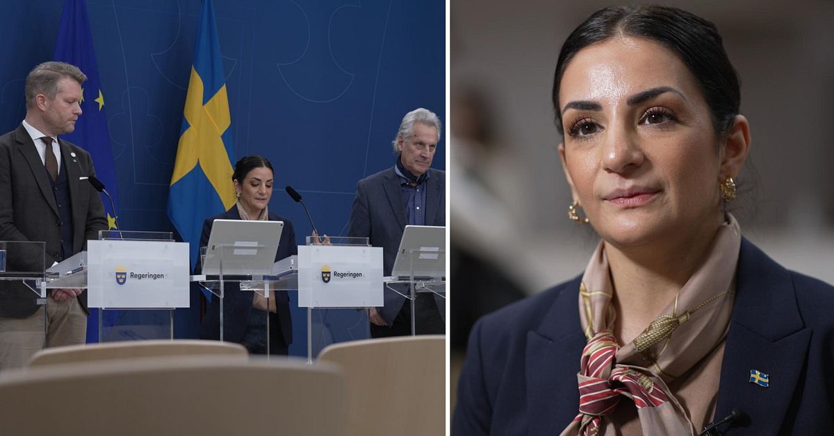 Så blir direktiven för en svensk kulturkanon | SVT Nyheter