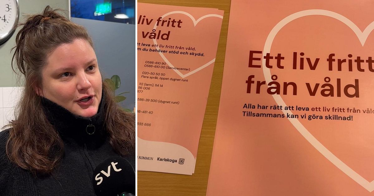 Kvinnoförening Vill Nå Ut Till Unga För Att Förebygga Mäns Våld Mot
