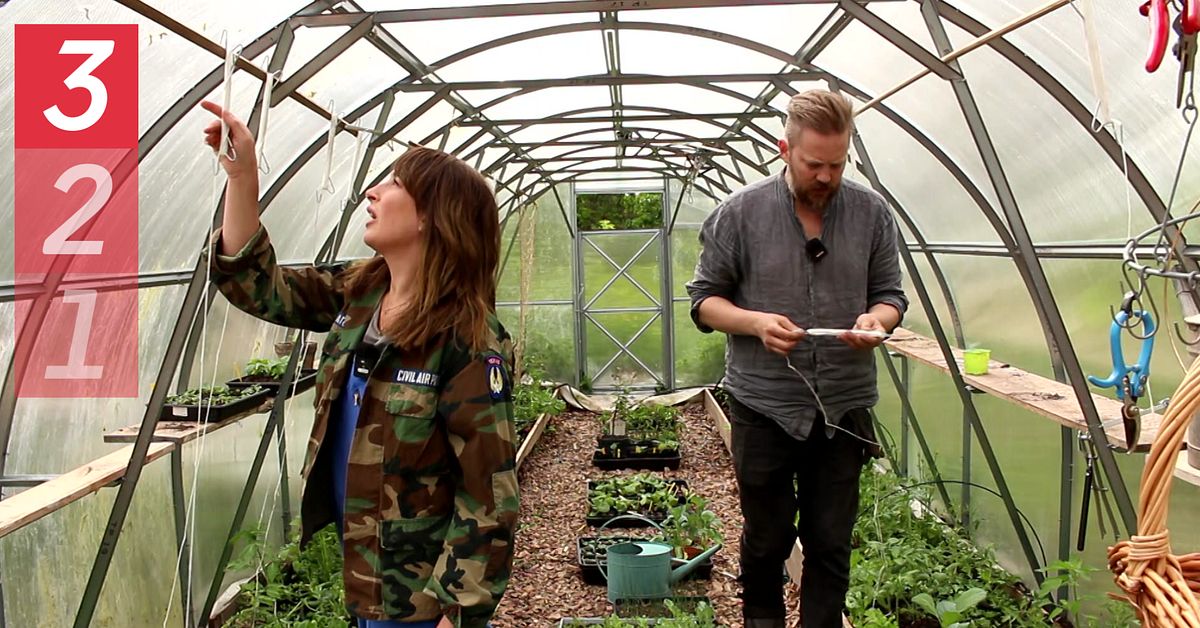 Så kommer du igång med självhushållning | SVT Nyheter