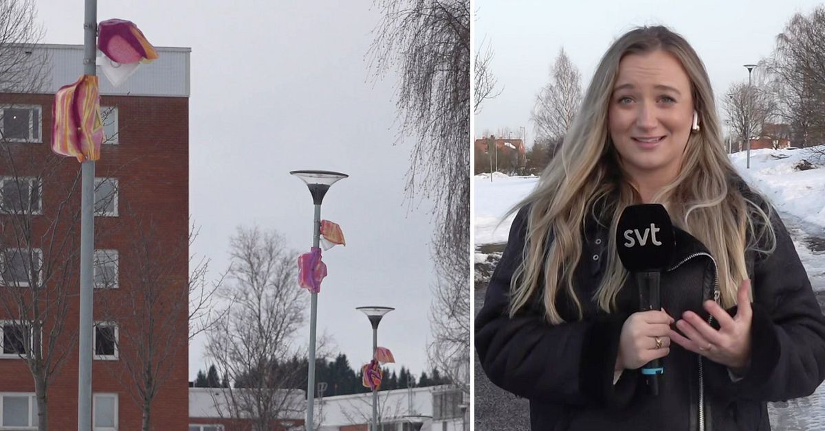 Hör SVT:s reporter om den kritiserade ljudkonsten | SVT Nyheter