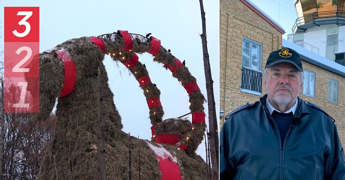 Flygplatsinspektörens tips – så kan man skydda julbocken mot fåglar ...