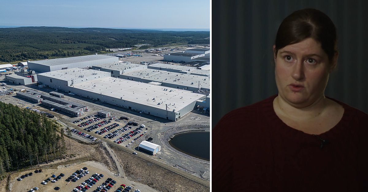 511 Northvoltanställda till ledningen: ”Be om ursäkt” | SVT Nyheter