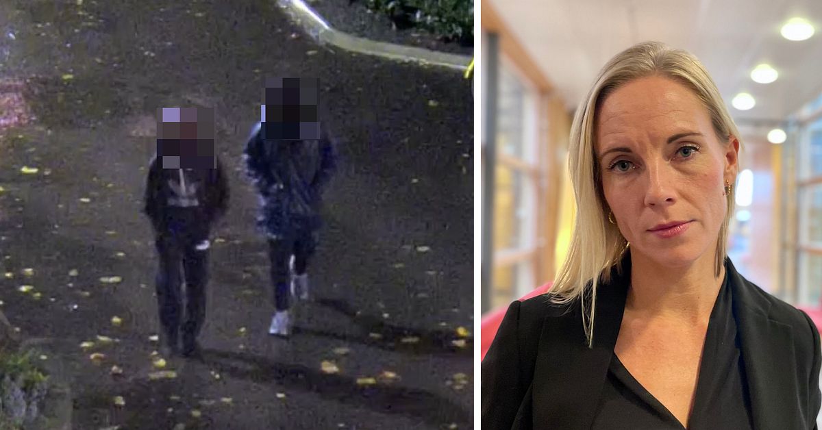 Foxtrotkonflikten: De skulle utföra ”massaker” i Linköping – tre döms ...