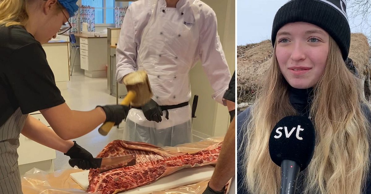 På Vindelälvsskolan i Sorsele får eleverna stycka ren – serveras som ...
