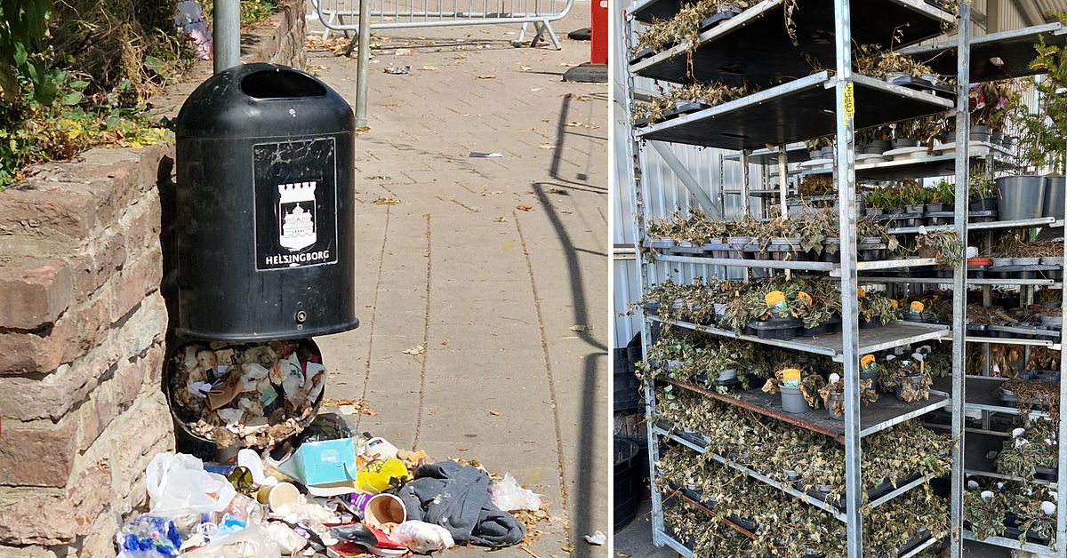 Därför bryter Helsingborg och Peab kontrakt värt 430 miljoner | SVT Nyheter