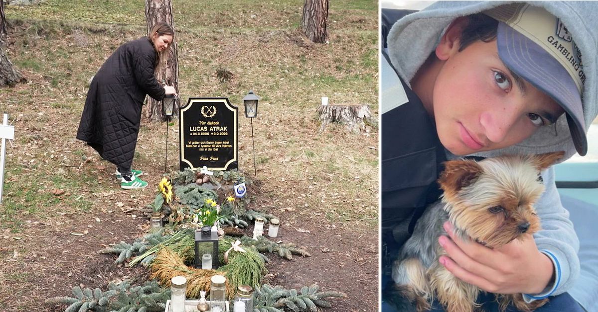 Lucas Atrak stod upp för sin vän – misshandlades till döds | SVT Nyheter