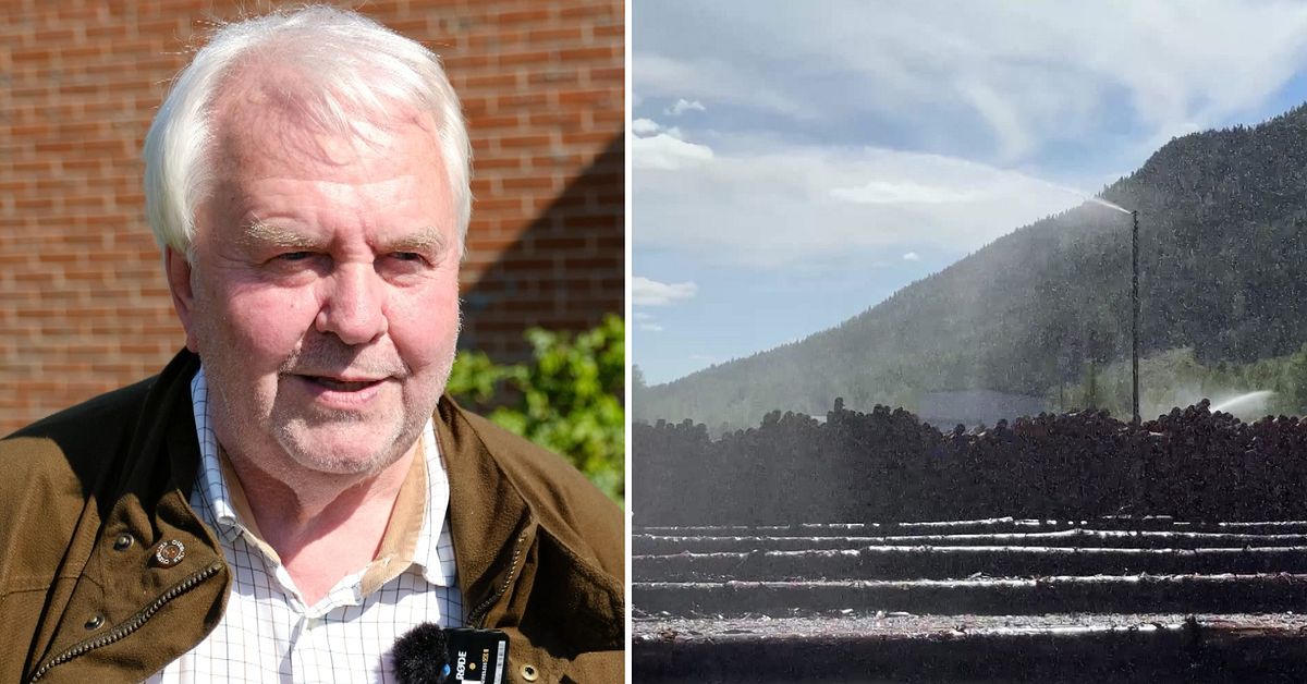 Företag vill köpa sågen i Ransby – Moelven säger nej | SVT Nyheter