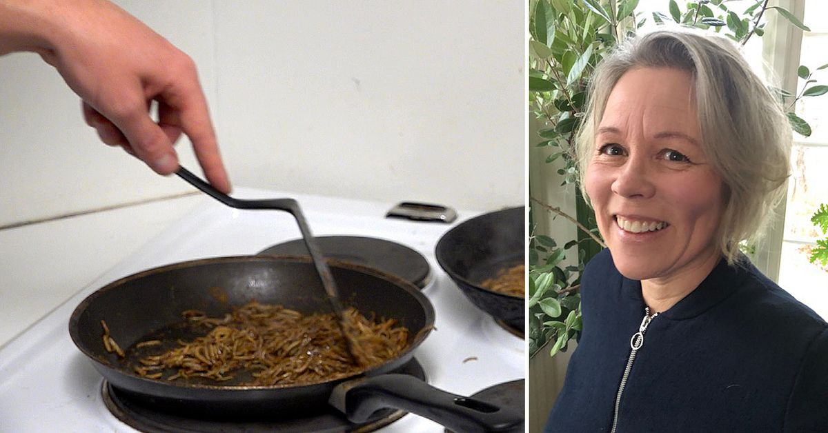 Experten om insekter som mat: ”Det blir som man kryddar det” | SVT Nyheter