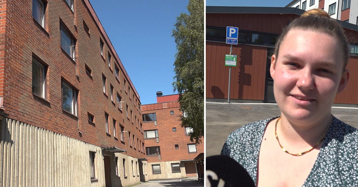 Umeå bland de billigaste studentstäderna i Sverige | SVT Nyheter