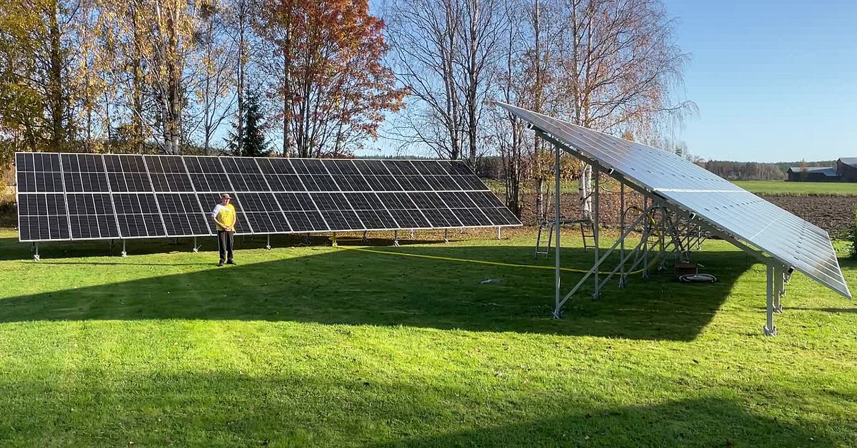 Allt fler markägare i Västerbotten satsar på solcellsparker | SVT Nyheter